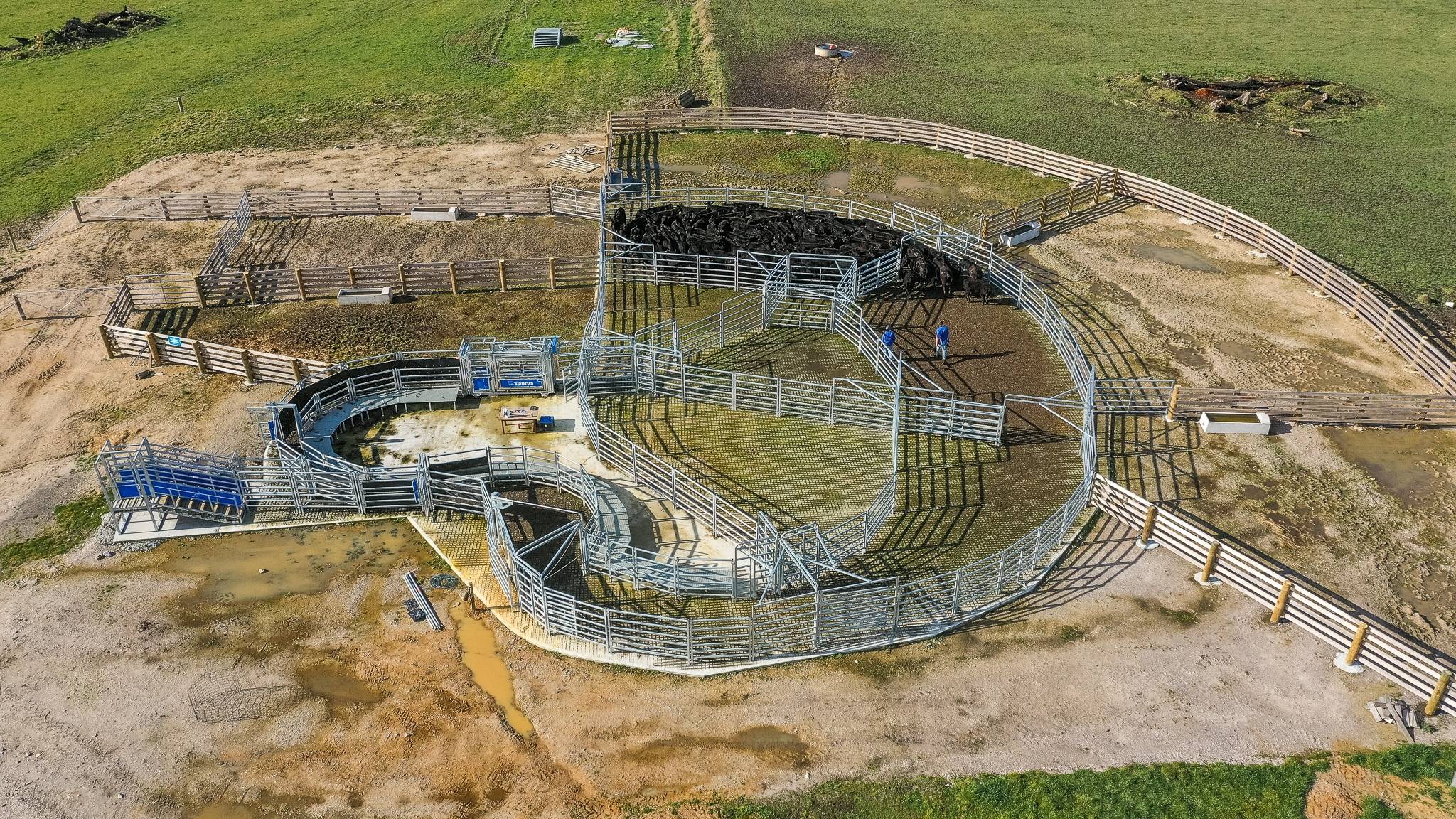 Livestock Equipment & Handling Solutions | Te Pari