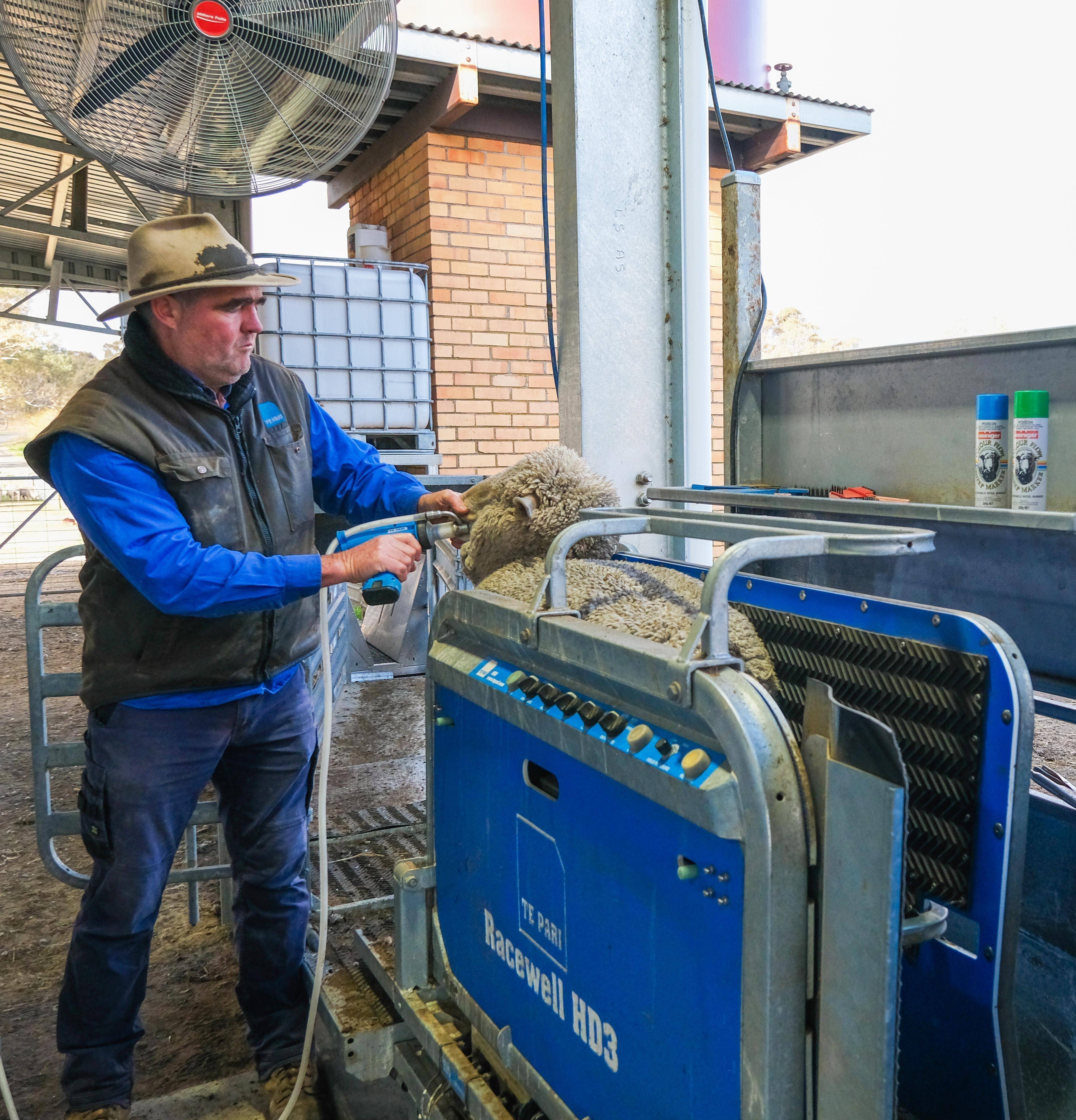 Livestock Equipment & Handling Solutions | Te Pari