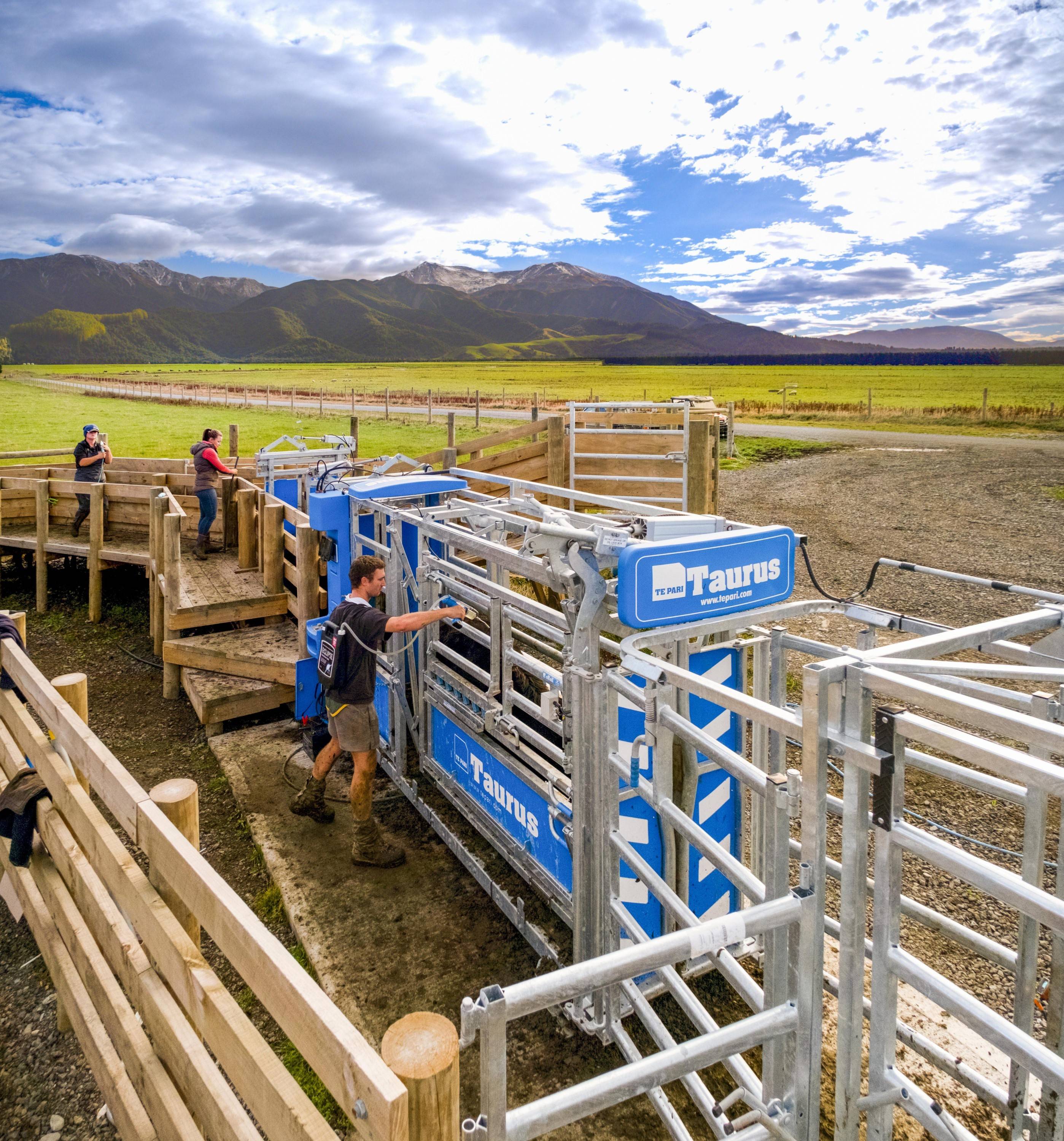 Livestock Equipment & Handling Solutions | Te Pari