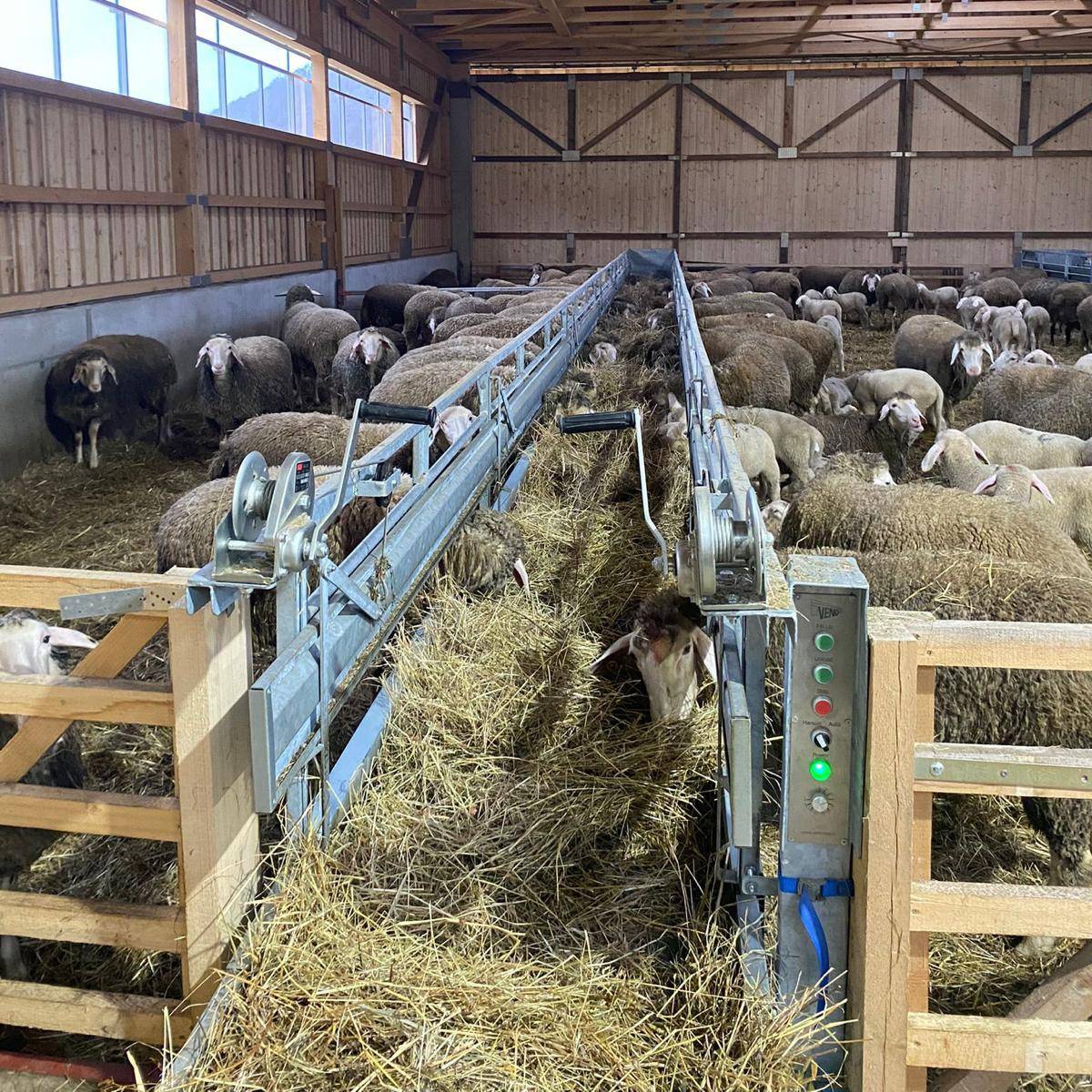 sheep pen systems